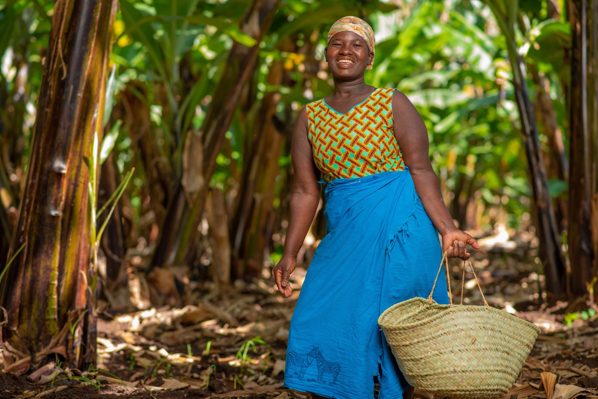 Home - Mercy Corps AgriFin-ALE